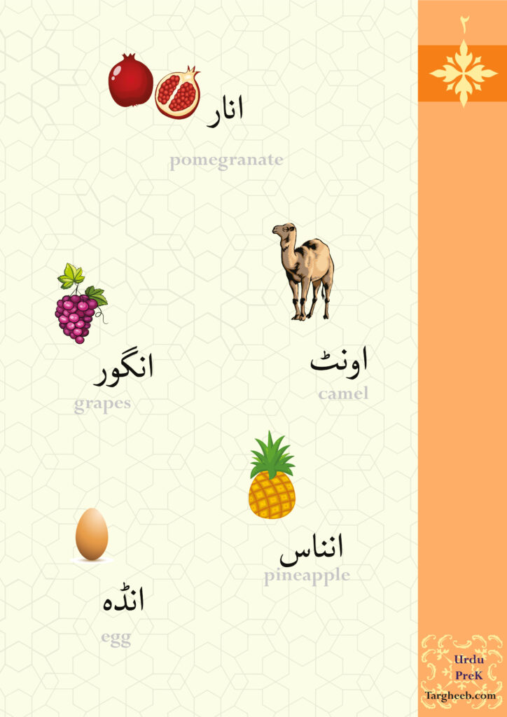 Pre K Urdu Alif - Targheeb